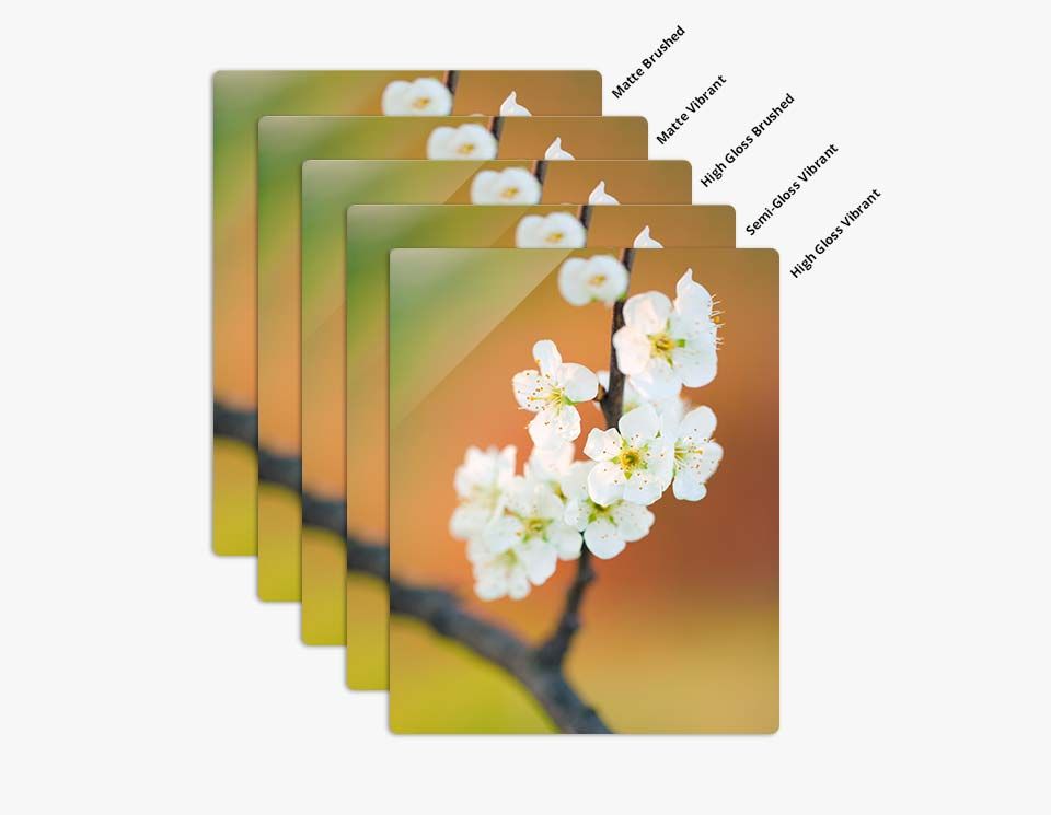 4x6 Metal Print Sample Kit